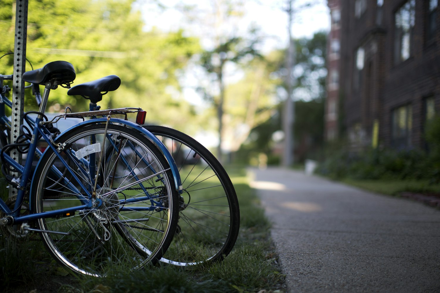 Exploring Sustainable Transportation Methods Around the World ...